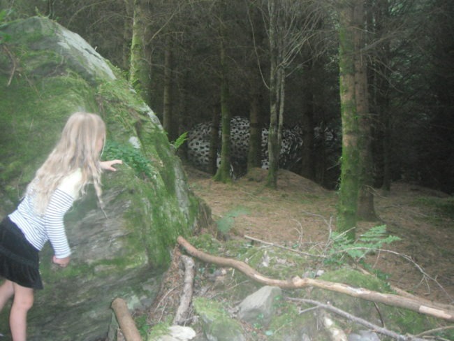 The Ewe Experience, Glengarriff – West Cork with Kids