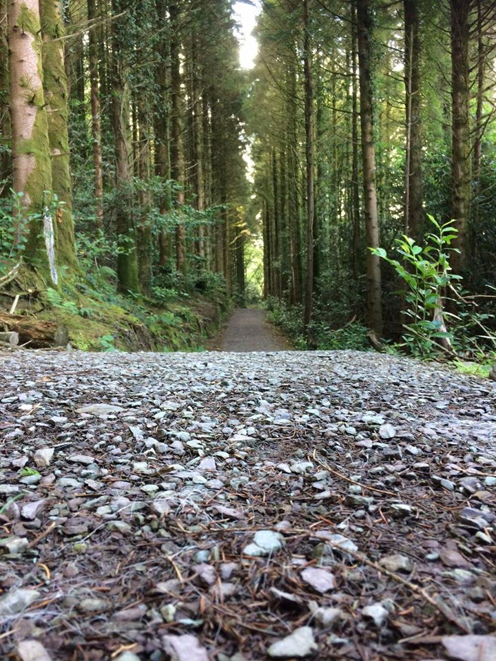 Kilbrittain Trails – The Fin Whale and Castle Walk – West Cork with Kids