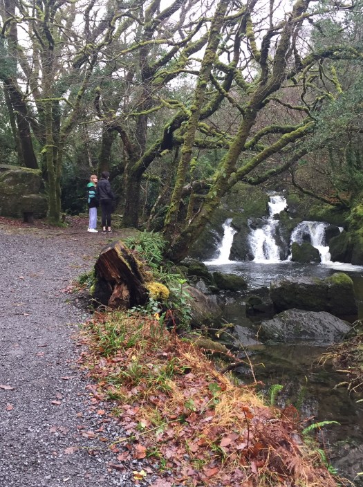 Glengarriff Woods – Waterfall Walk – West Cork with Kids